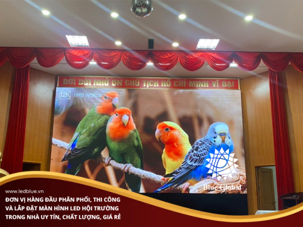 Màn Hình Led Hội Trường Trong Nhà